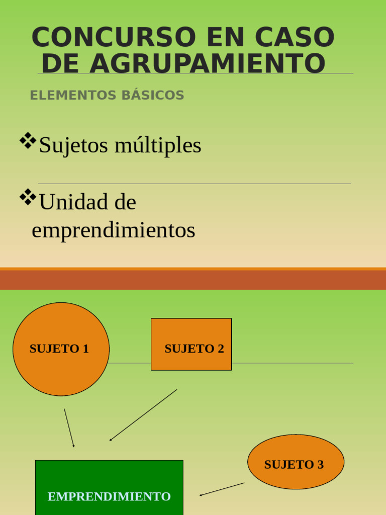 Concurso en Caso de Agrupamiento | PDF | Bancarrota | Justicia