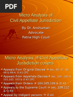 Civil Appeal Opening Sheet Format | PDF