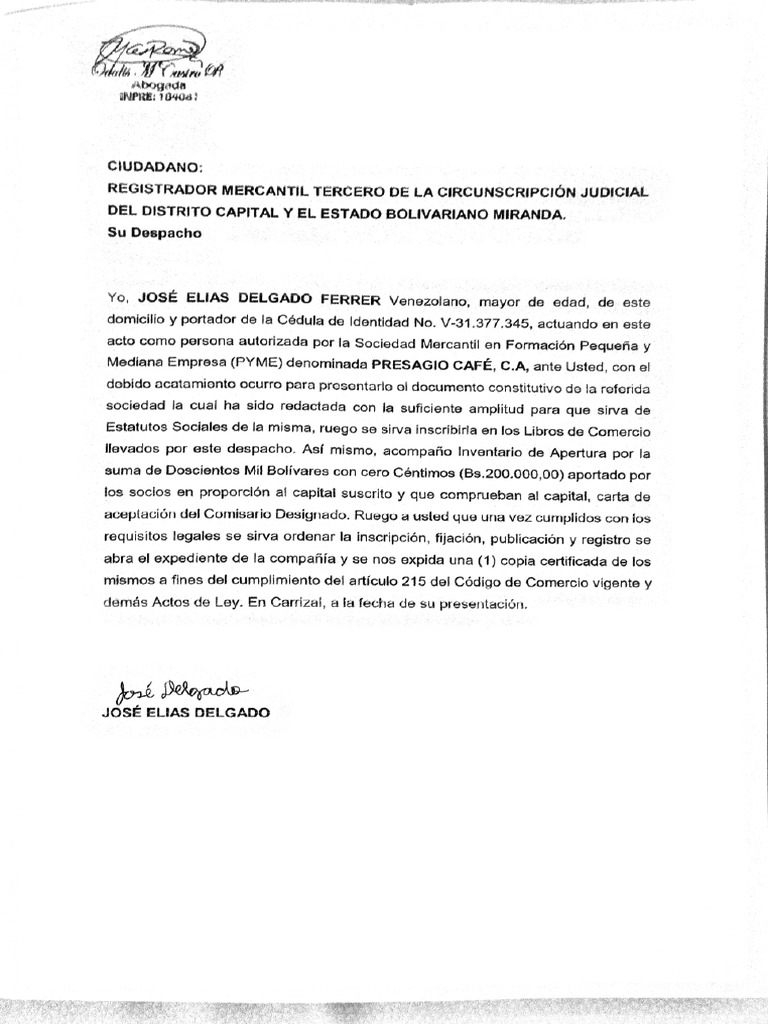 Modelo de acta constitutiva pyme | PDF