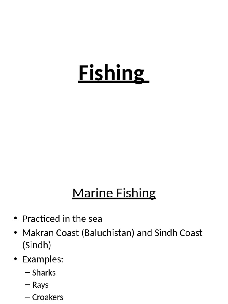 Fishing | PDF