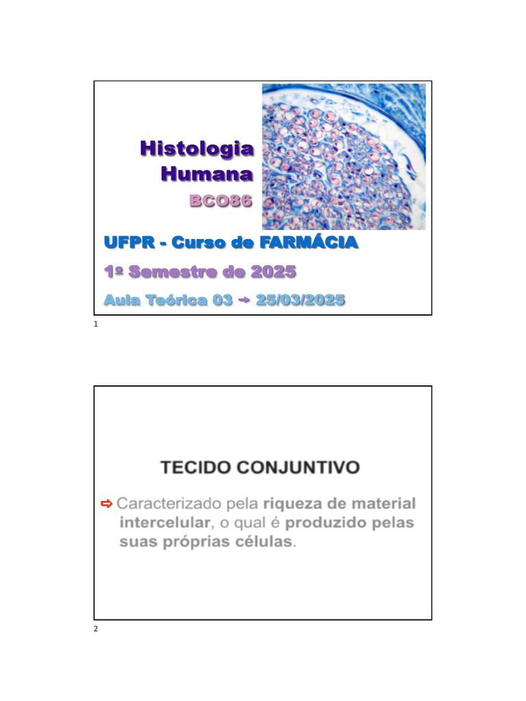 03.a - Aula Teór. 03 - 25-03-25 - Tec. Conj. Fr. MATRIZ - BC086 | PDF ...
