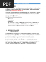 Comprendre la neurocysticercose : diagnostic et traitement | PDF ...