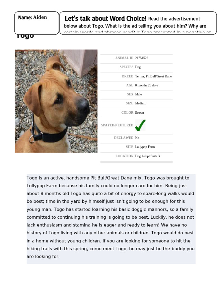 Let's Talk About Word Choice!: Aiden | PDF | Pit Bull | Dog Breeding