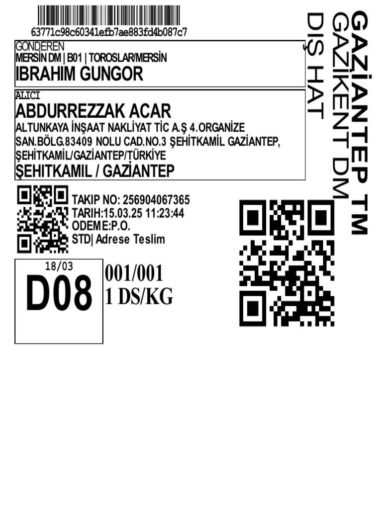 001/001 1 DS/KG: Ibrahim Gungor Abdurrezzak Acar | PDF