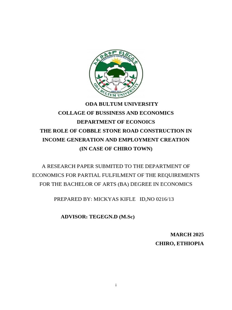 Mikias Research | PDF | Unemployment | Rock (Geology)