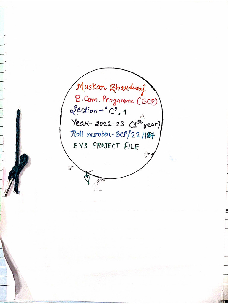 Evs Project File Bcp-22-187 | PDF