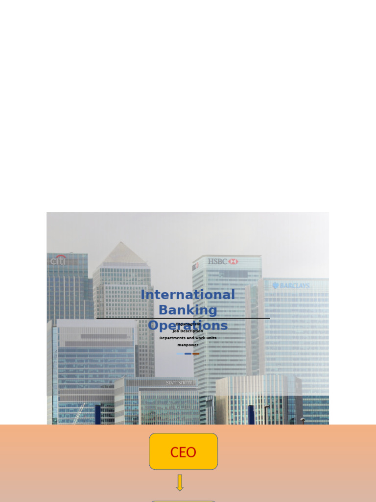IBO Organizational Structure Overview | PDF