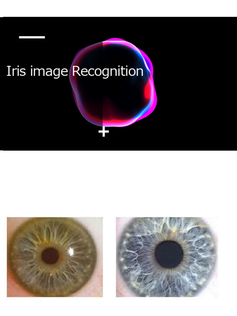 13-Iris Image Acquisition-18-02-2025 | PDF