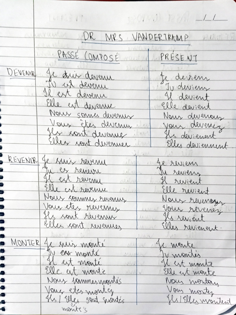 Rosh Philip French Homework (DR Mrs Vandertramp) | PDF