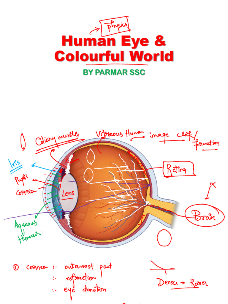 Human Eye & Colourful World by PARMAR SSC | PDF