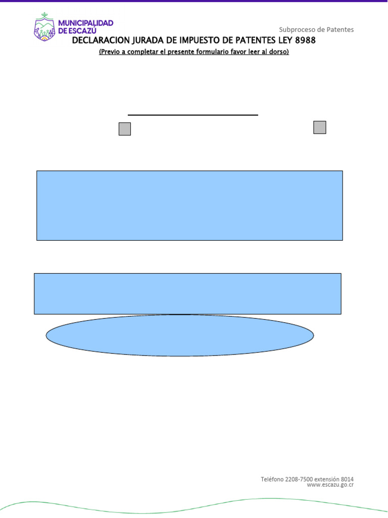 F-Pat-08 Declaracion Jurada Impuesto Patente | PDF | Impuestos
