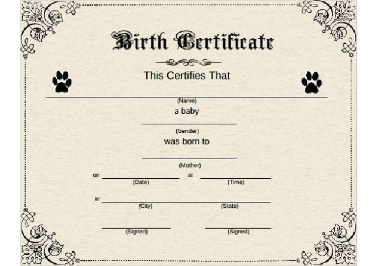 Image To PDF 20250320 11.57.15 | PDF