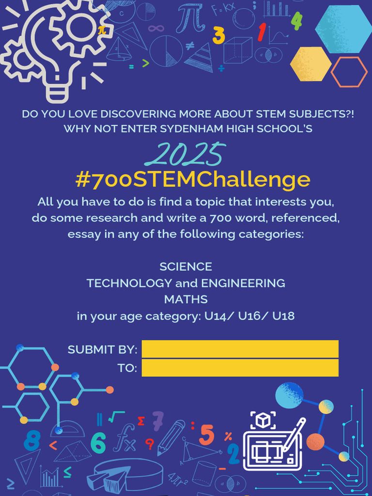 2025 #700STEMChallenge Essay Contest | PDF