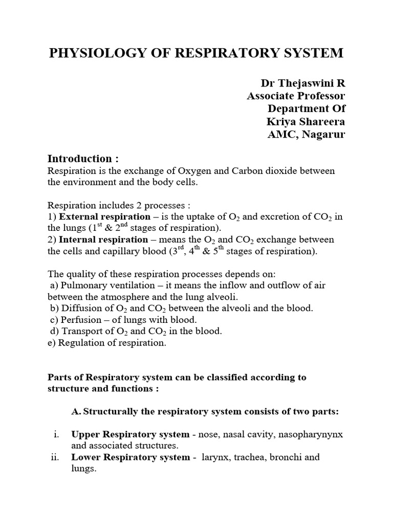 Respiratory System Notes | PDF | Respiratory Tract | Lung