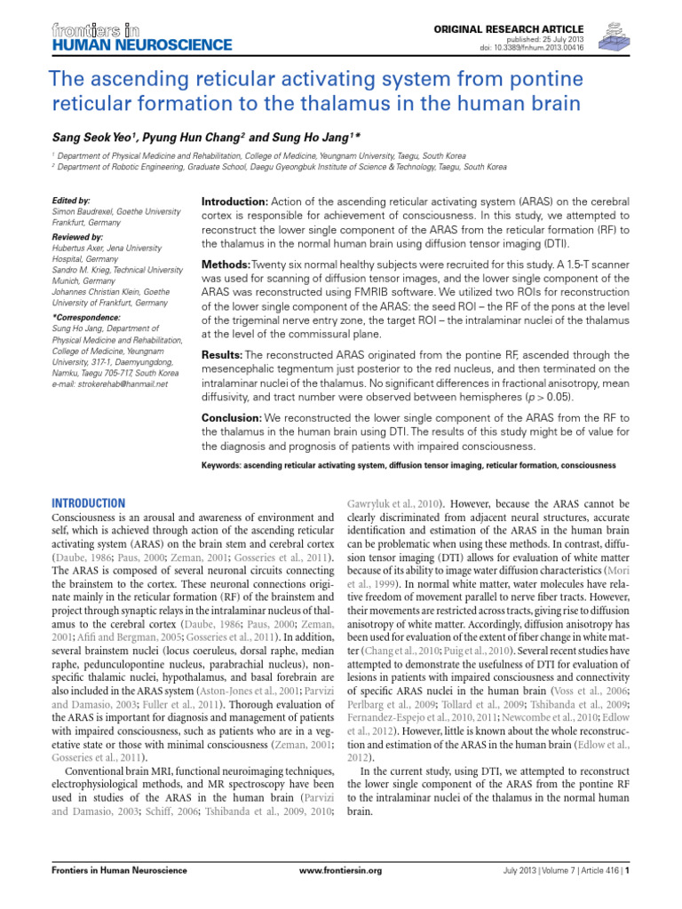 The Ascending Reticular Activating System | PDF | Thalamus | Human Brain