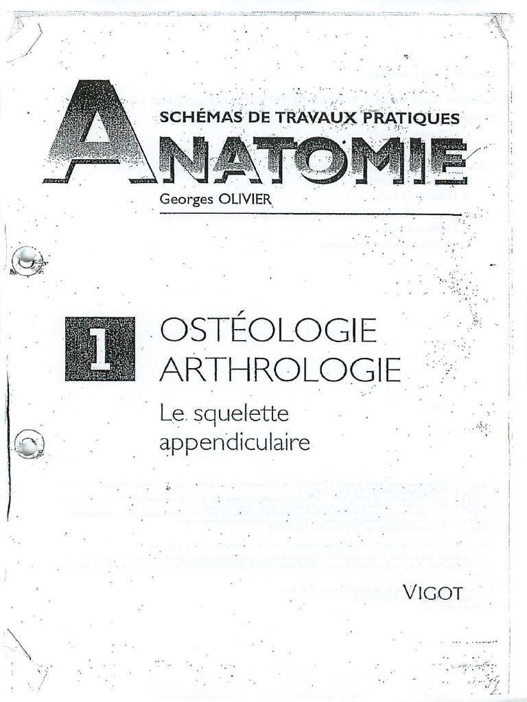 Vigot - 1 (Squelette Appendiculaire) | PDF