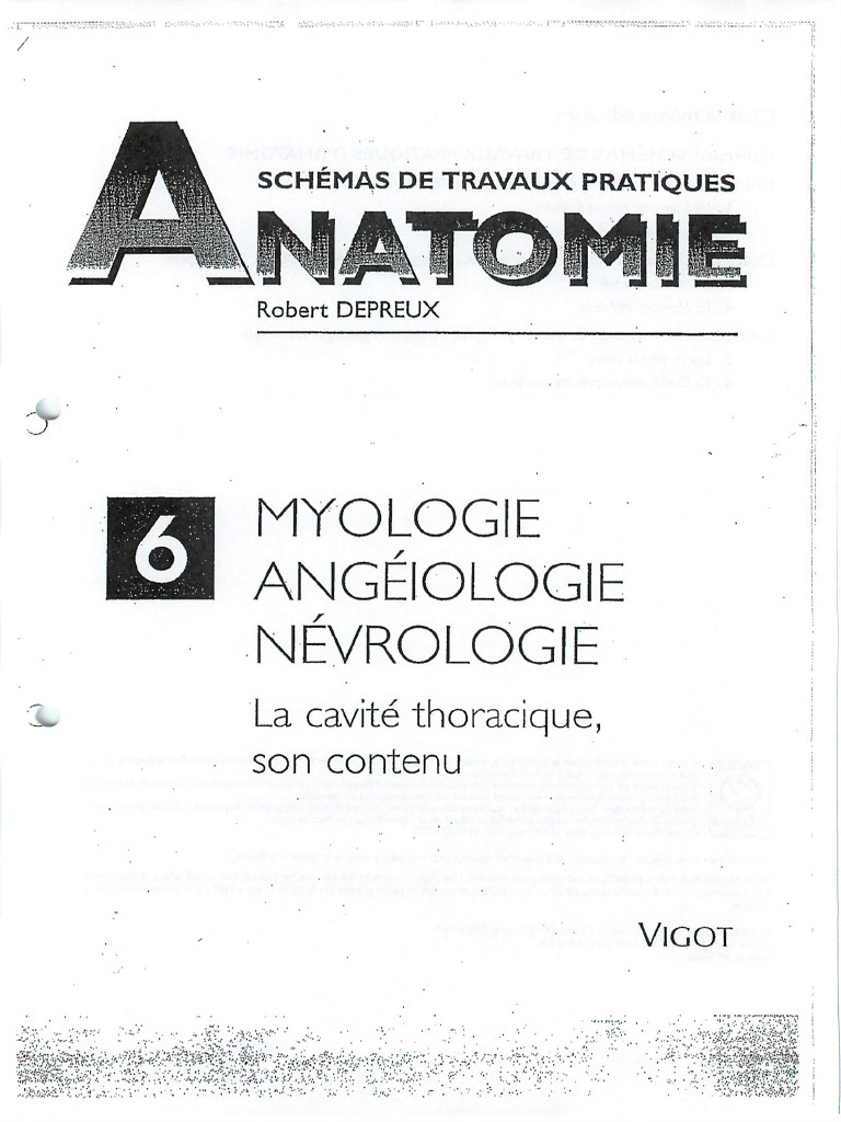 Vigot - 6 (Cavité Thoracique) | PDF