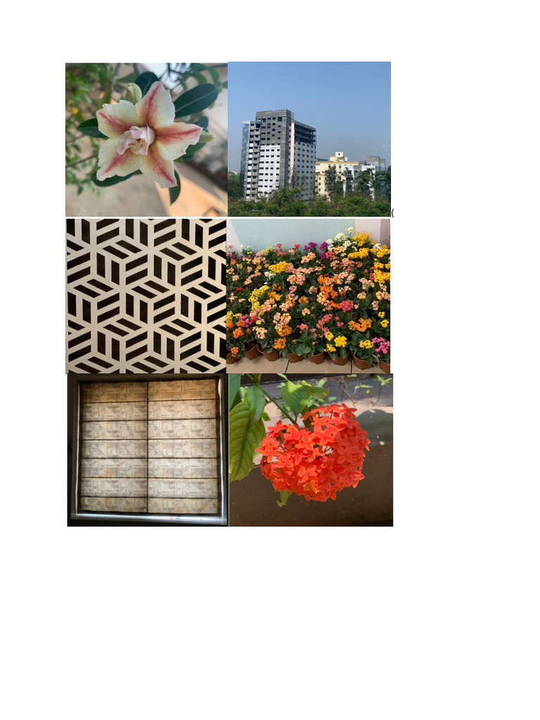 design principles objects | PDF