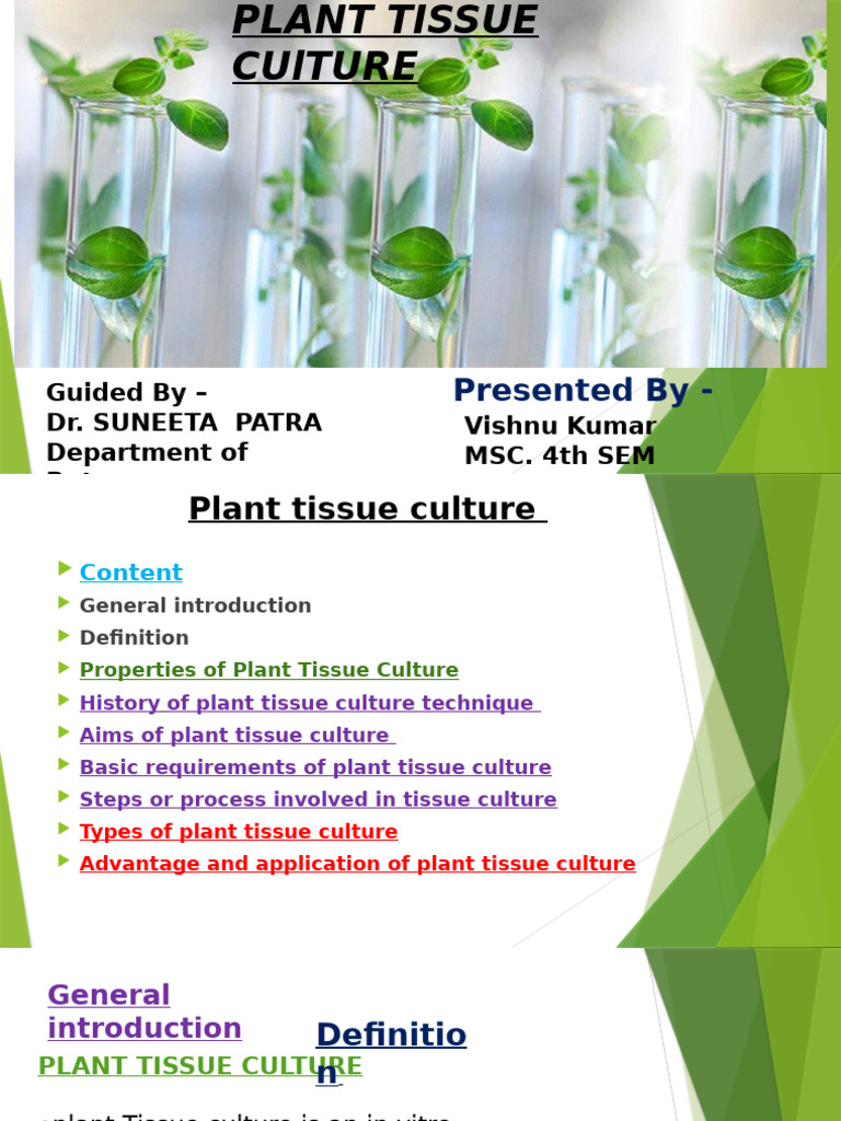 Introduction to Plant Tissue Culture | PDF | Organisms | Reproduction