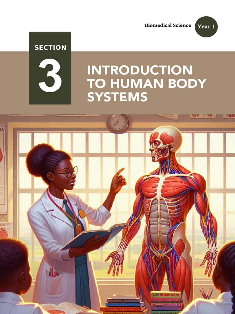 Interconnected Human Body Systems | PDF | Human Body | Blood