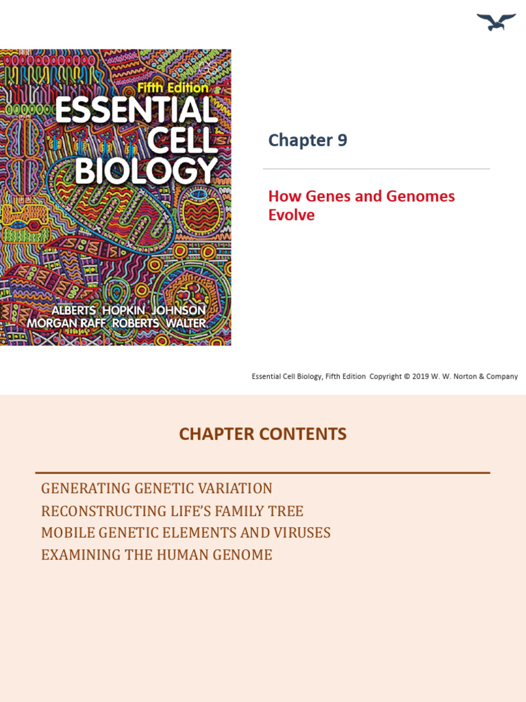 Ac-Escellbio5 Lectureppt Ch09 | PDF | Transposable Element | Gene