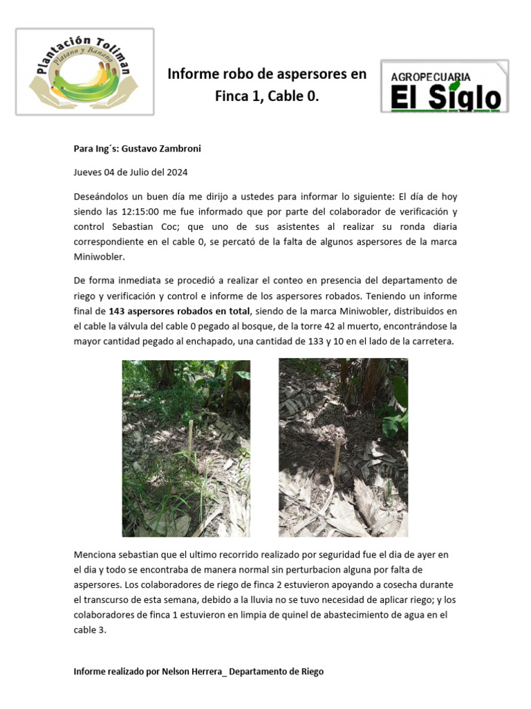 Informe_robo_Asp_F1_C0_04_07_24 | PDF