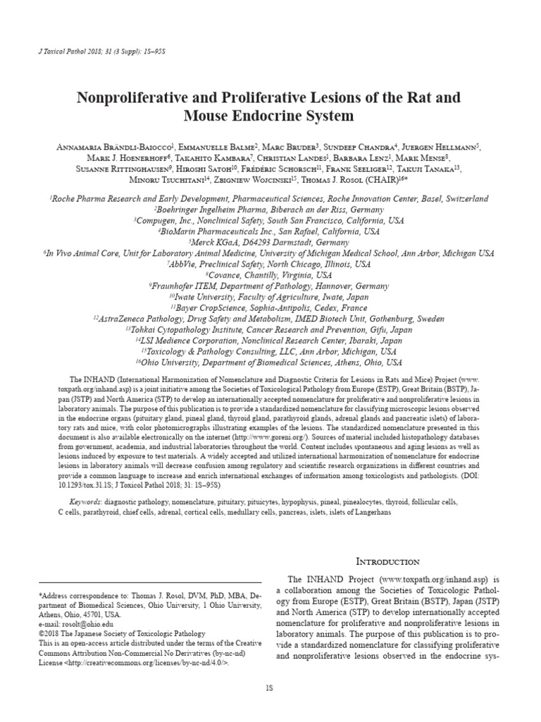 Endocrine Lesions in Lab Animals | PDF | Thyroid | Adrenal Gland