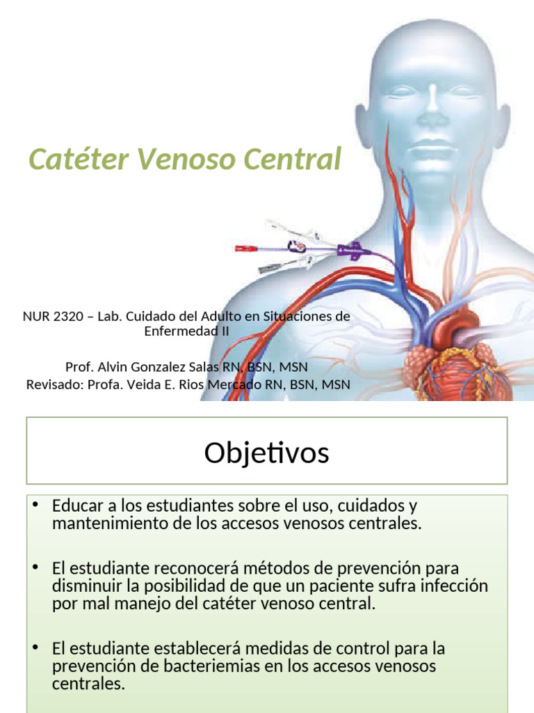 Cuidados Y Mantenimiento Del Catéter Venoso Central Pdf Terapia