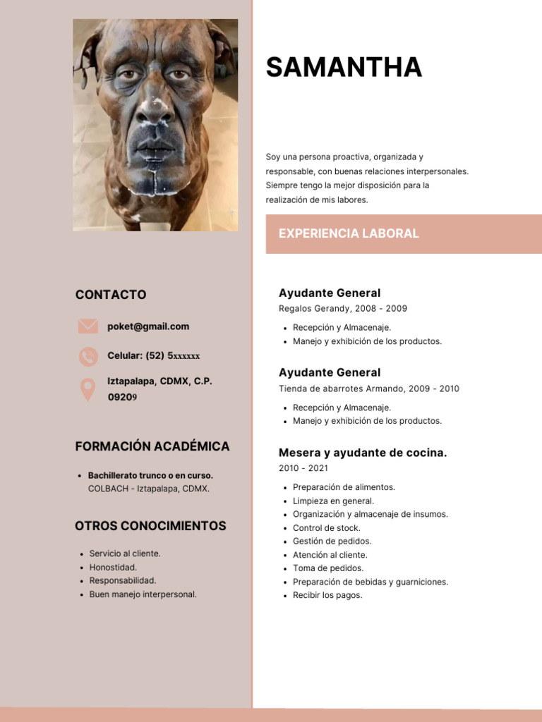 Curriculum CV Sam | PDF