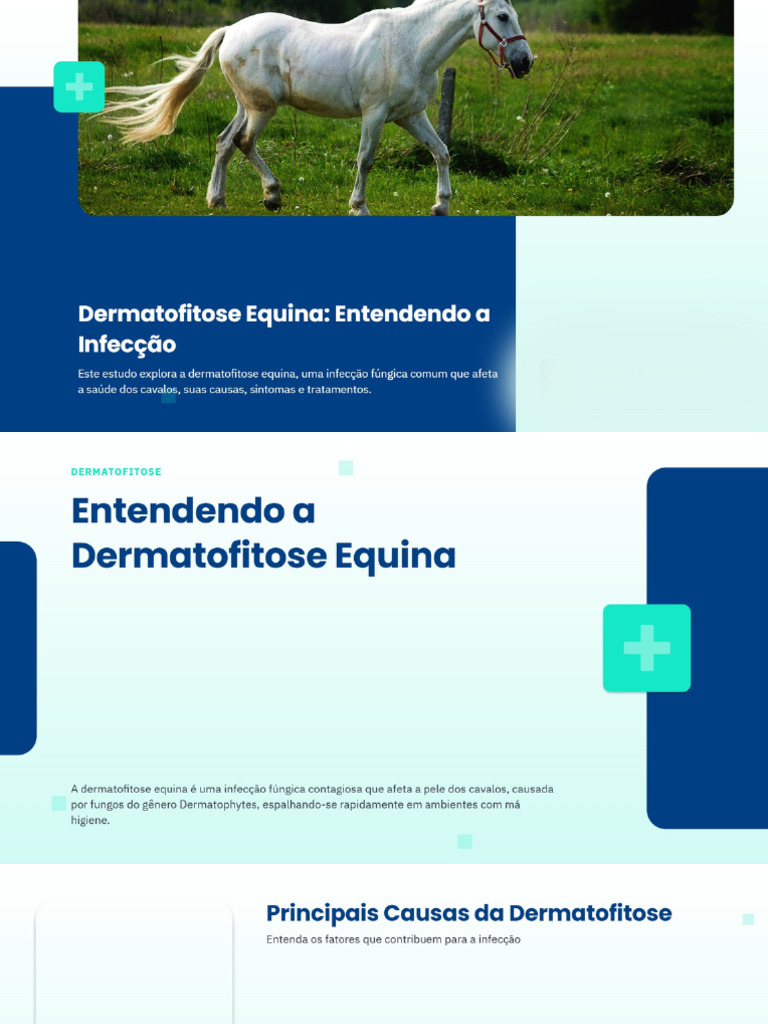 Entendendo A Dermatofitose Equina PDF | PDF