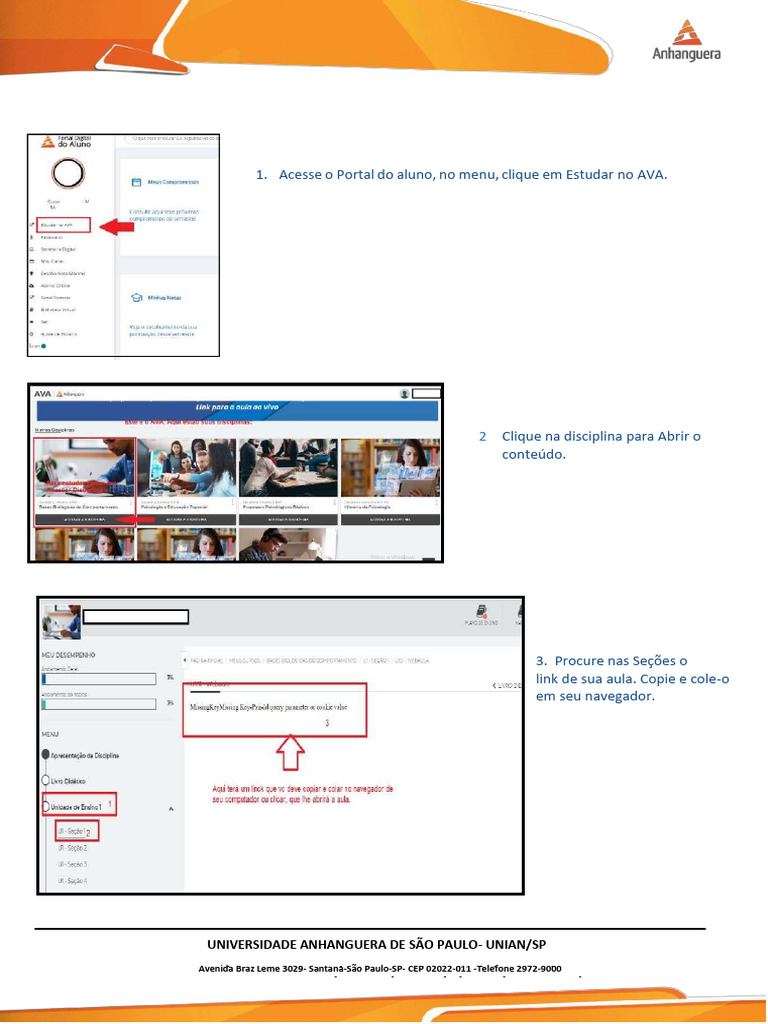 2-Passo a Passo Acesso as Aulas Ava | PDF