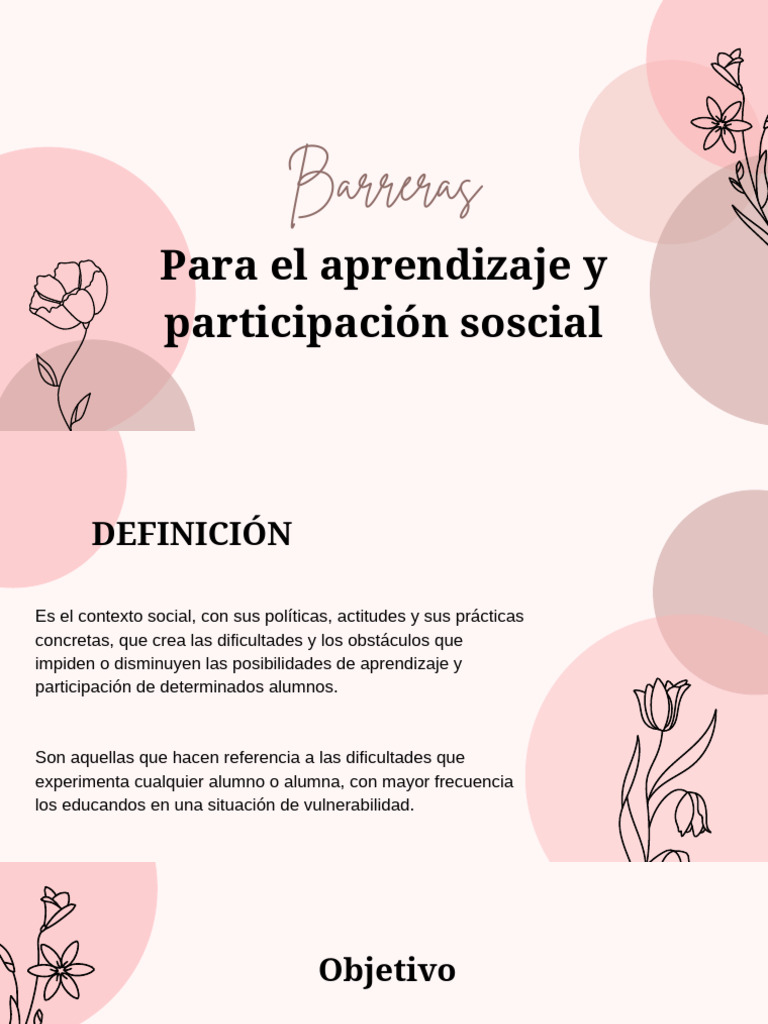 Barreras para El Aprendizaje y La Participación Social | PDF | Plan de estudios | Aprendizaje