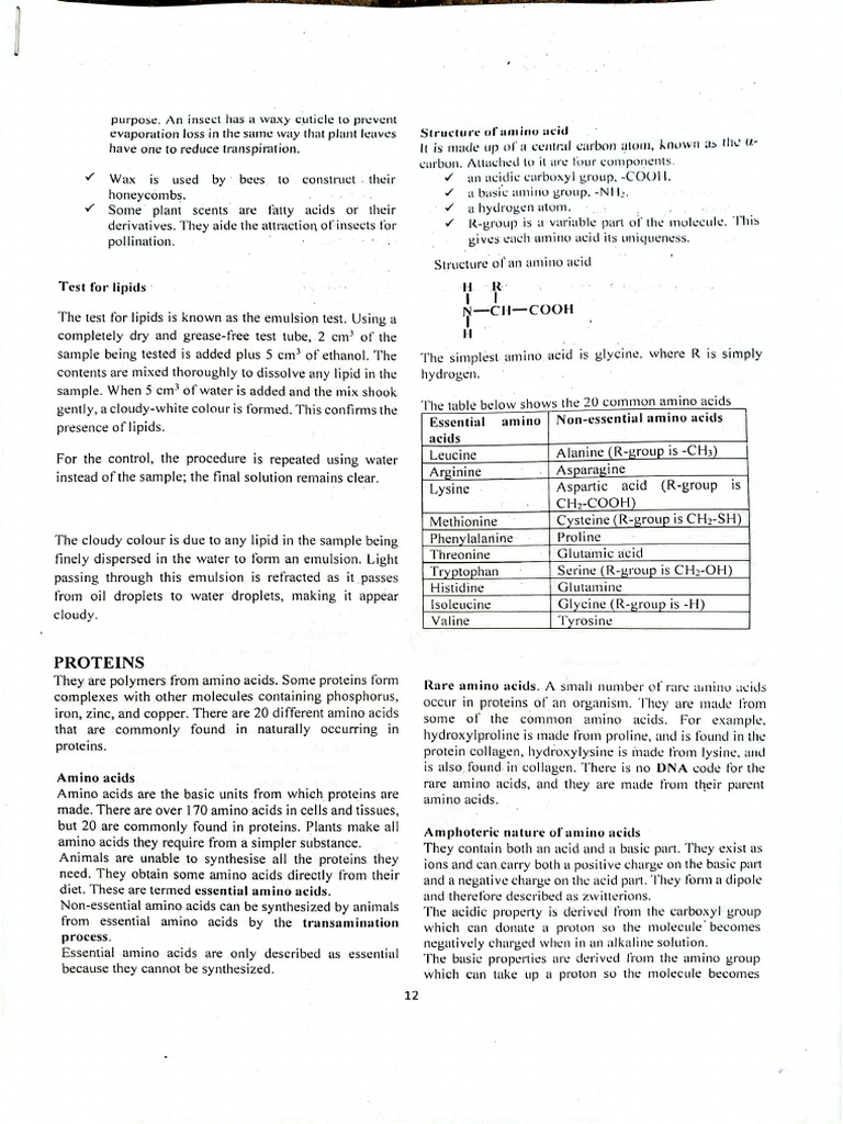 Biology Work For Group 6 | PDF