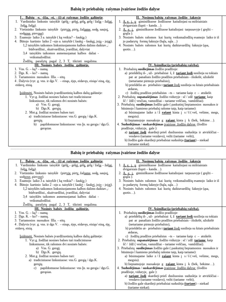 Rasyba 16 Taisykliu | PDF