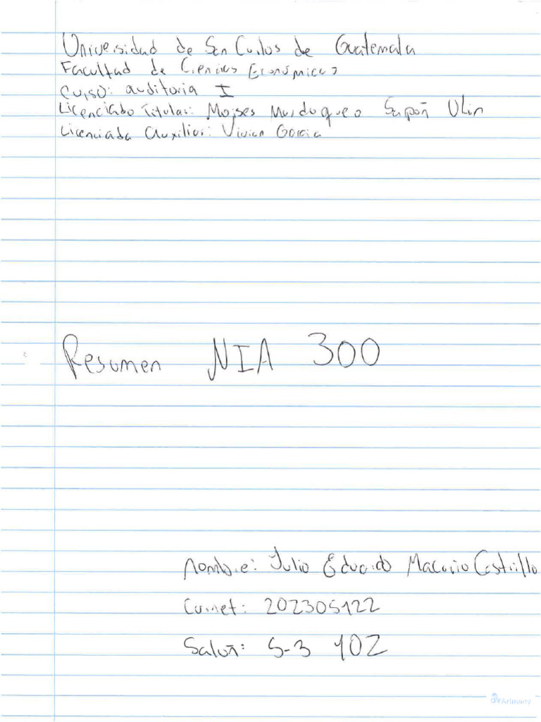 Resumen Nia 300 | PDF