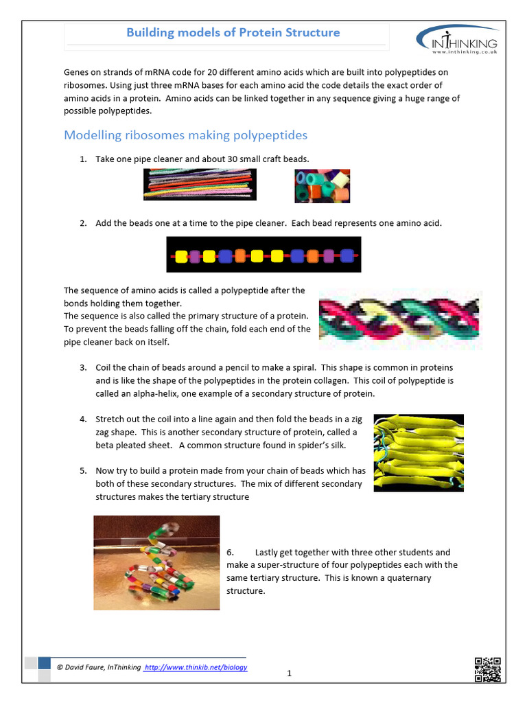 Modeling Protein Structure Activity | PDF | Proteins | Protein Structure