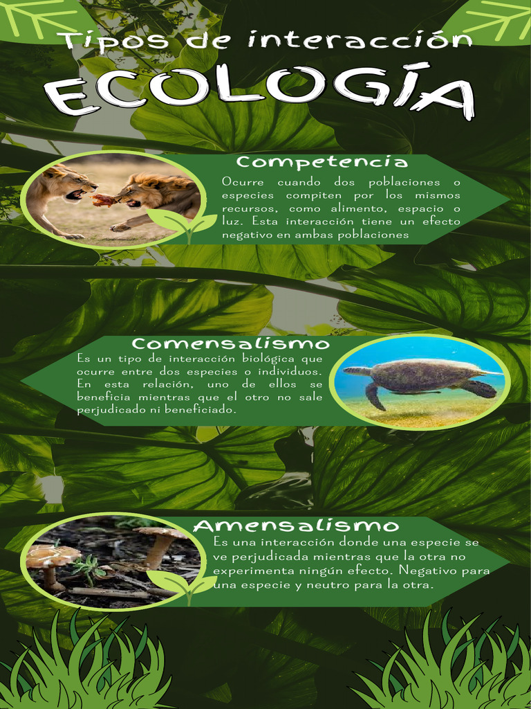 Interacciones biológicas: Comensalismo y Amensalismo | PDF