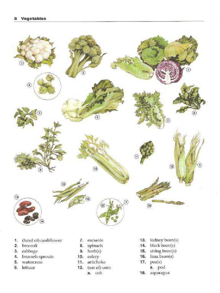 Example of The Pictionary | PDF