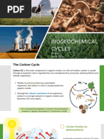 Biogeochemical Cycles Answer Key | PDF | Science & Mathematics ...