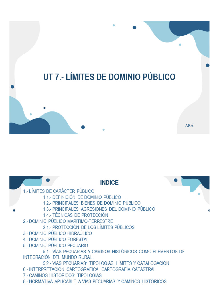 Límites y Tipos de Dominio Público | PDF | Dominio publico