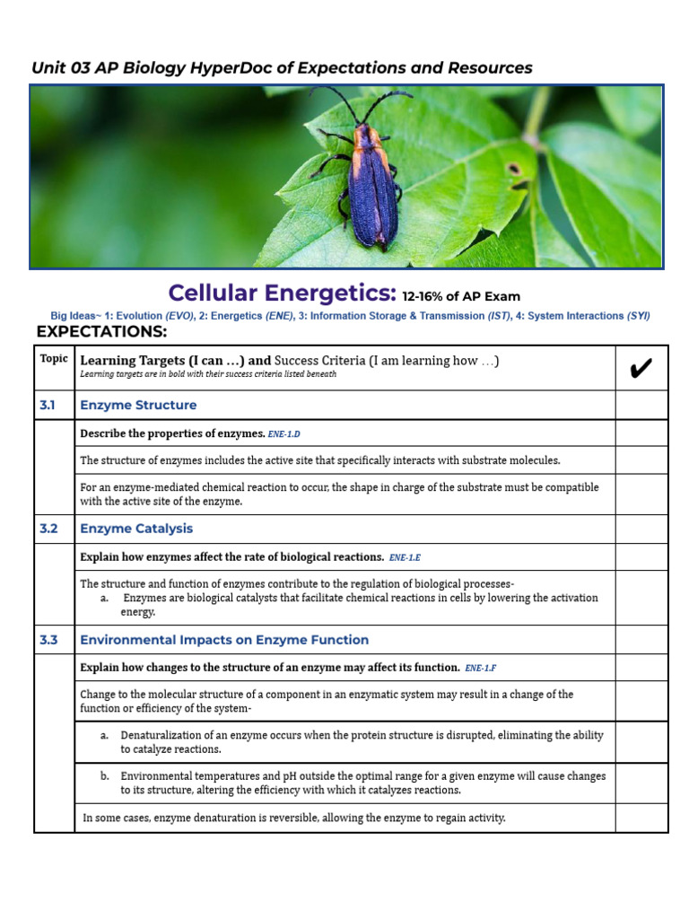 AP Biology Cellular Energetics Guide | PDF | Electron Transport Chain ...