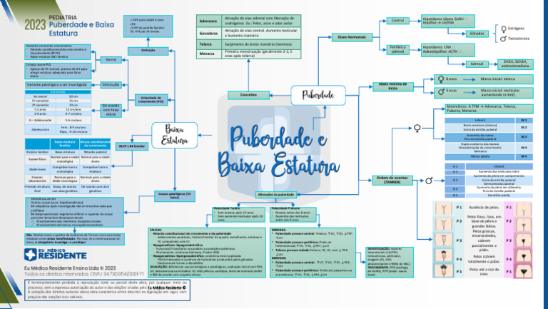 Extensivo - Puberdade e Baixa Estatura - Mapa Mental | PDF | Puberdade | Hormônio luteinizante