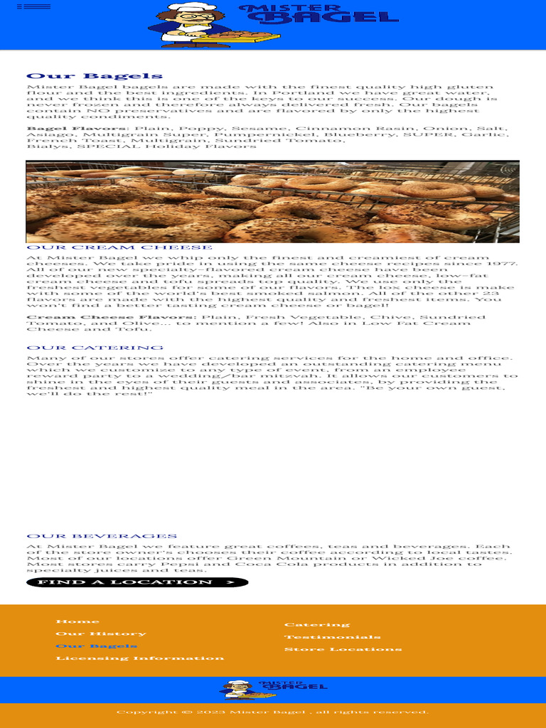 Mister Bagel Menu and Offerings | PDF