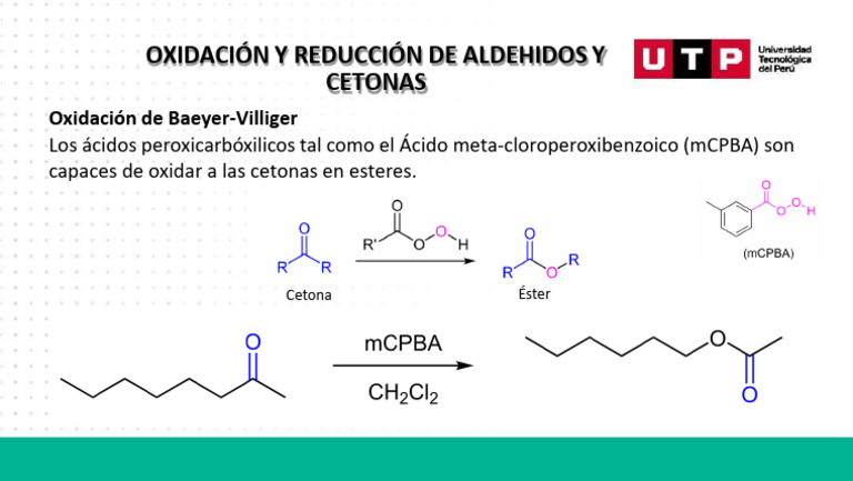 S11.s1- Material Baeyer | PDF