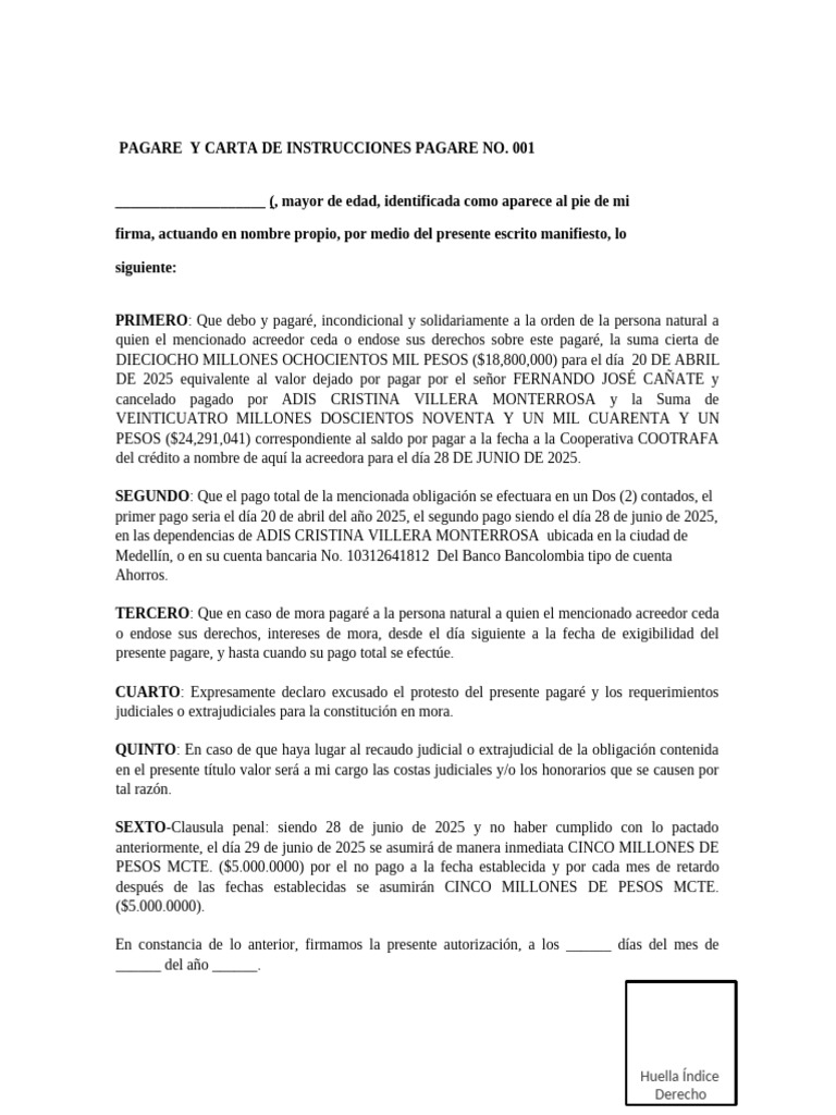 Pagaré y Autorización de Instrucciones | PDF