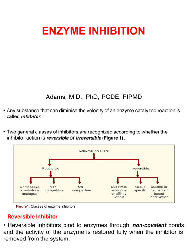 Ezyme Inhibition and Application | PDF