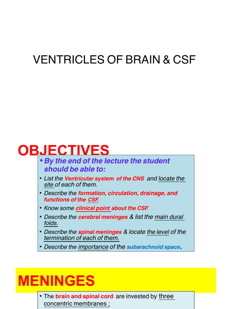 Ventricles Od Brain and CSF | PDF