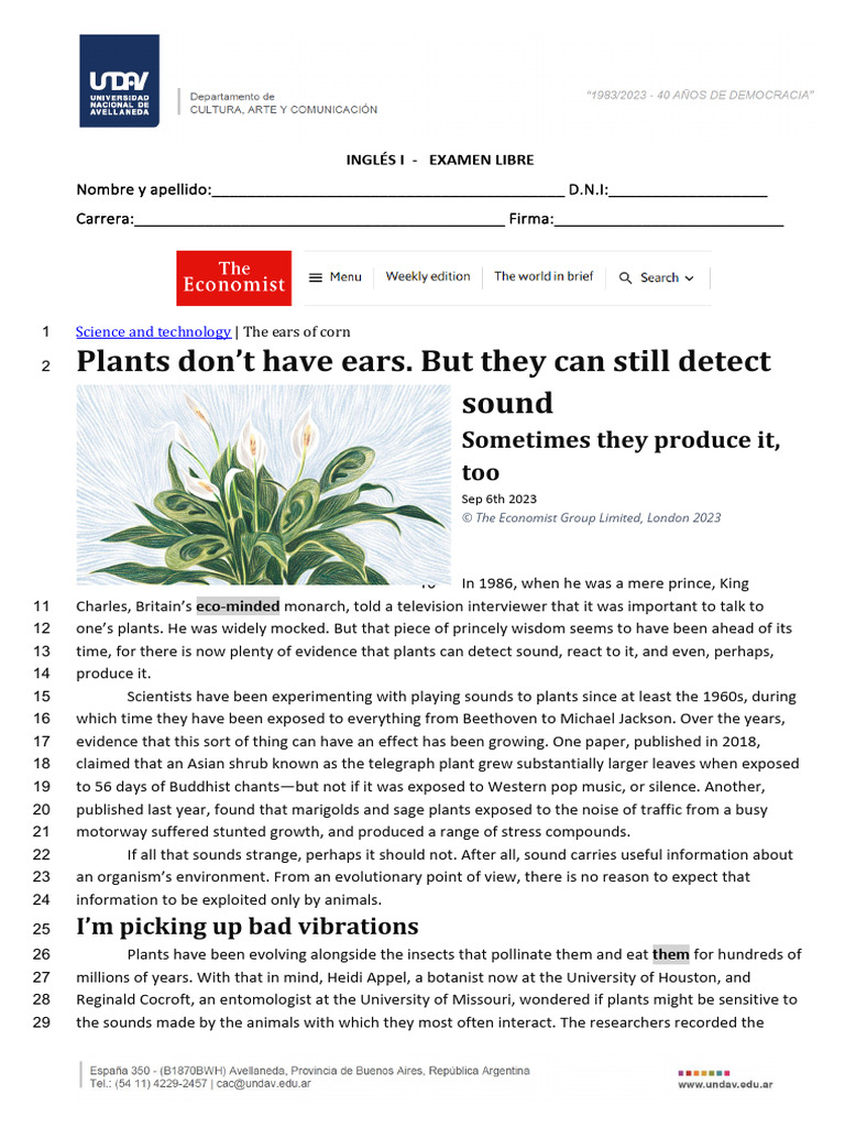 Modelo Final Libre Ingles 1 Plant Can Make Sounds | PDF | Root | Insects
