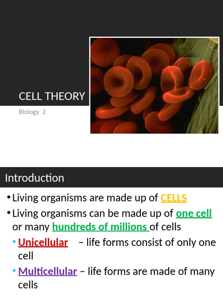 Cell Theory Introduction - Foundation | PDF | Cell (Biology) | Prokaryote
