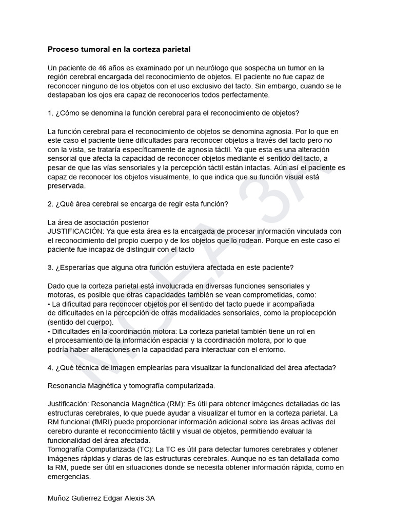 Agnosia táctil y corteza parietal | PDF | Cerebro | Sistema somatosensorial